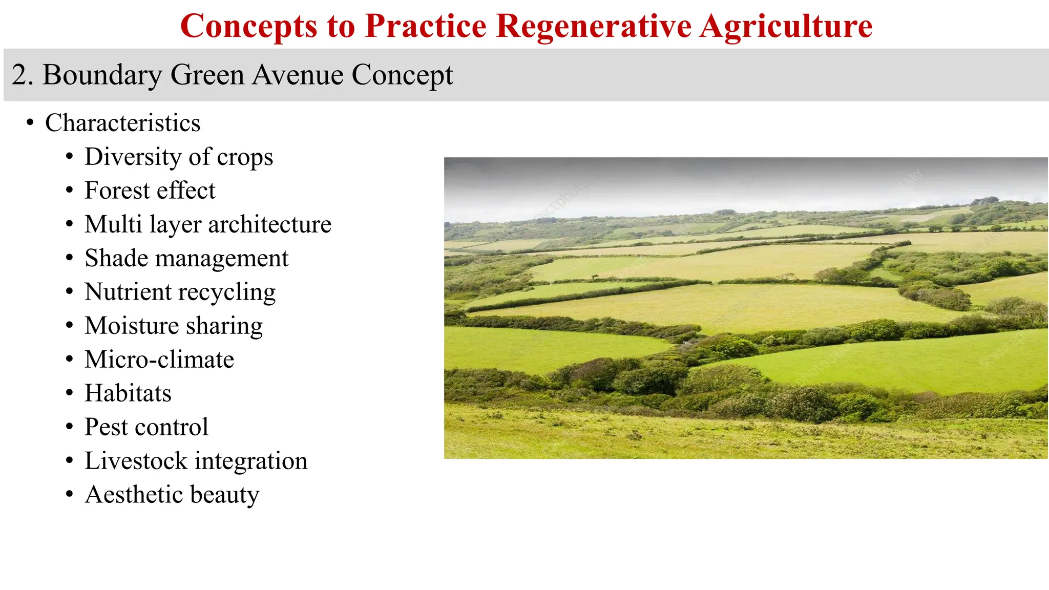 Environmental Impact: Traditional Agriculture and Regenerative ...