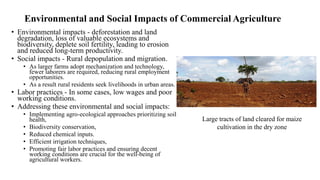 Environmental Impact: Traditional Agriculture and Regenerative ...