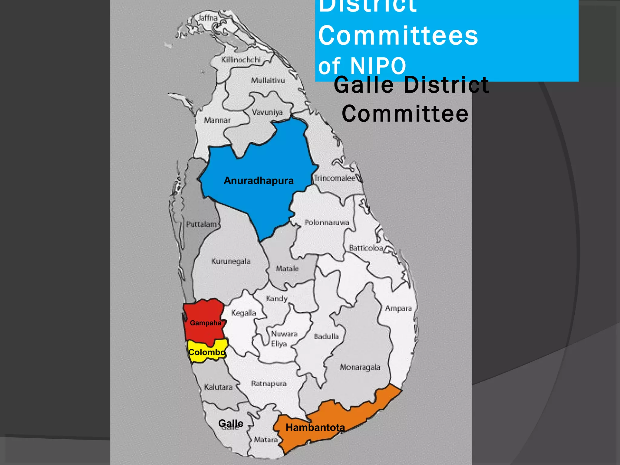 Brief History of National Intellectuals and professionals Organization ...