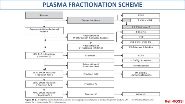 Plasma fractionation | PPT | Blood Disorders | Diseases and Conditions
