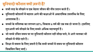 Nipun Bharat Mission & FLN-Hindi.pptx