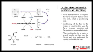 BREWING PROCESS and productions PPT.pptx