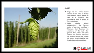BREWING PROCESS and productions PPT.pptx