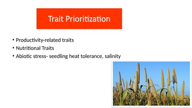 Nirupma IRC_202jjnhbhjvgvghvhfcg nf.pptx