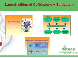 Nirvan Life Sciences | PPTX