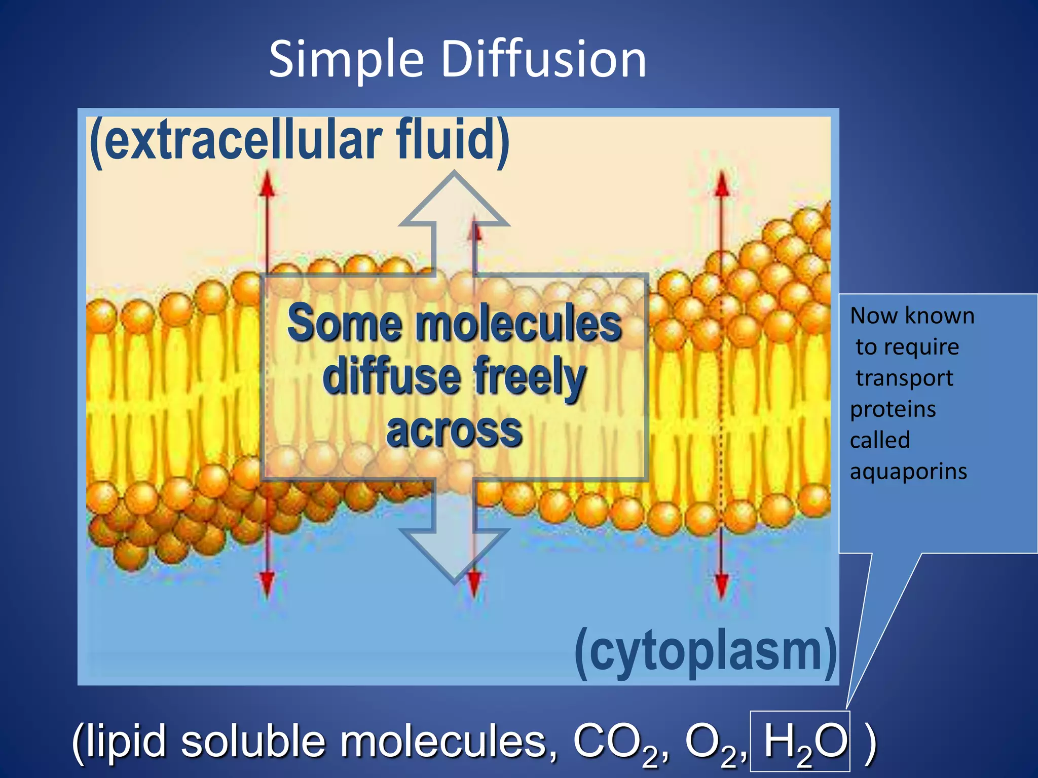 cell membrane and cell transport | PPTX