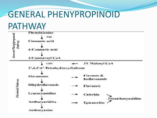 plant secondary metabolites control mechanism and manipulation of ...