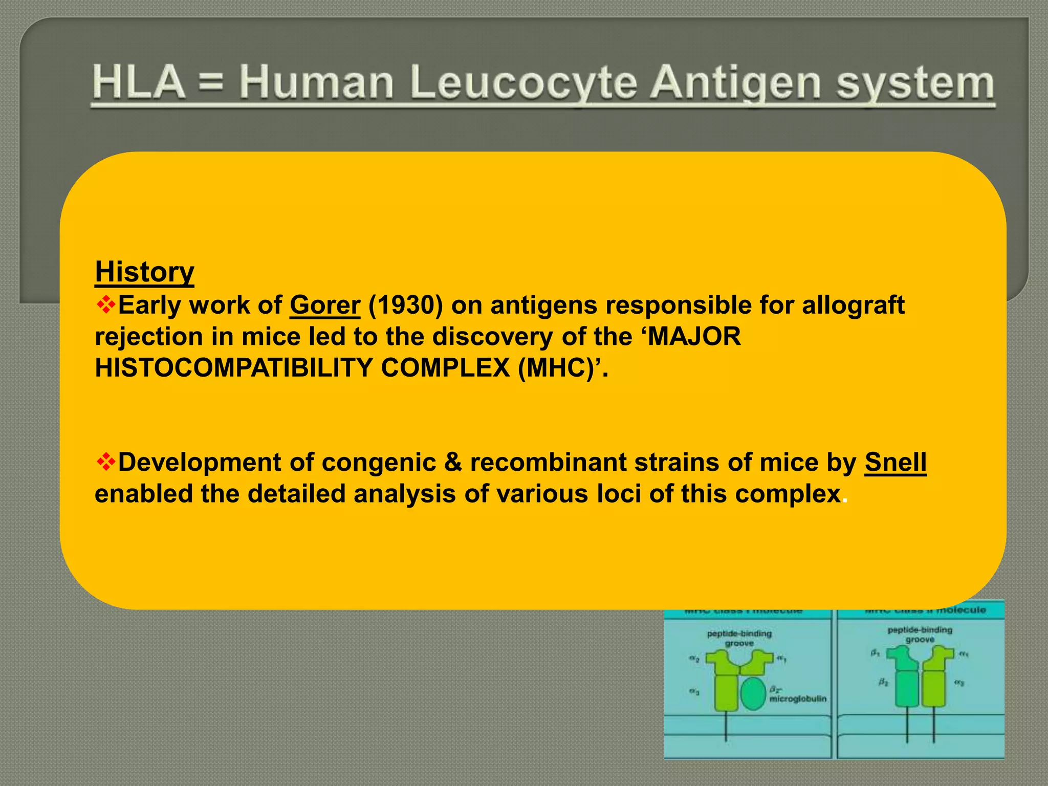 HLA | PPTX