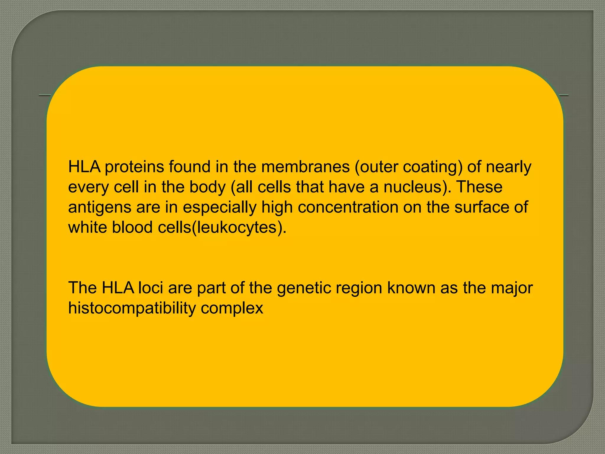 HLA | PPTX