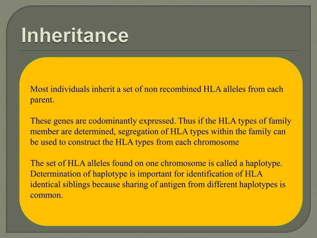 HLA | PPTX
