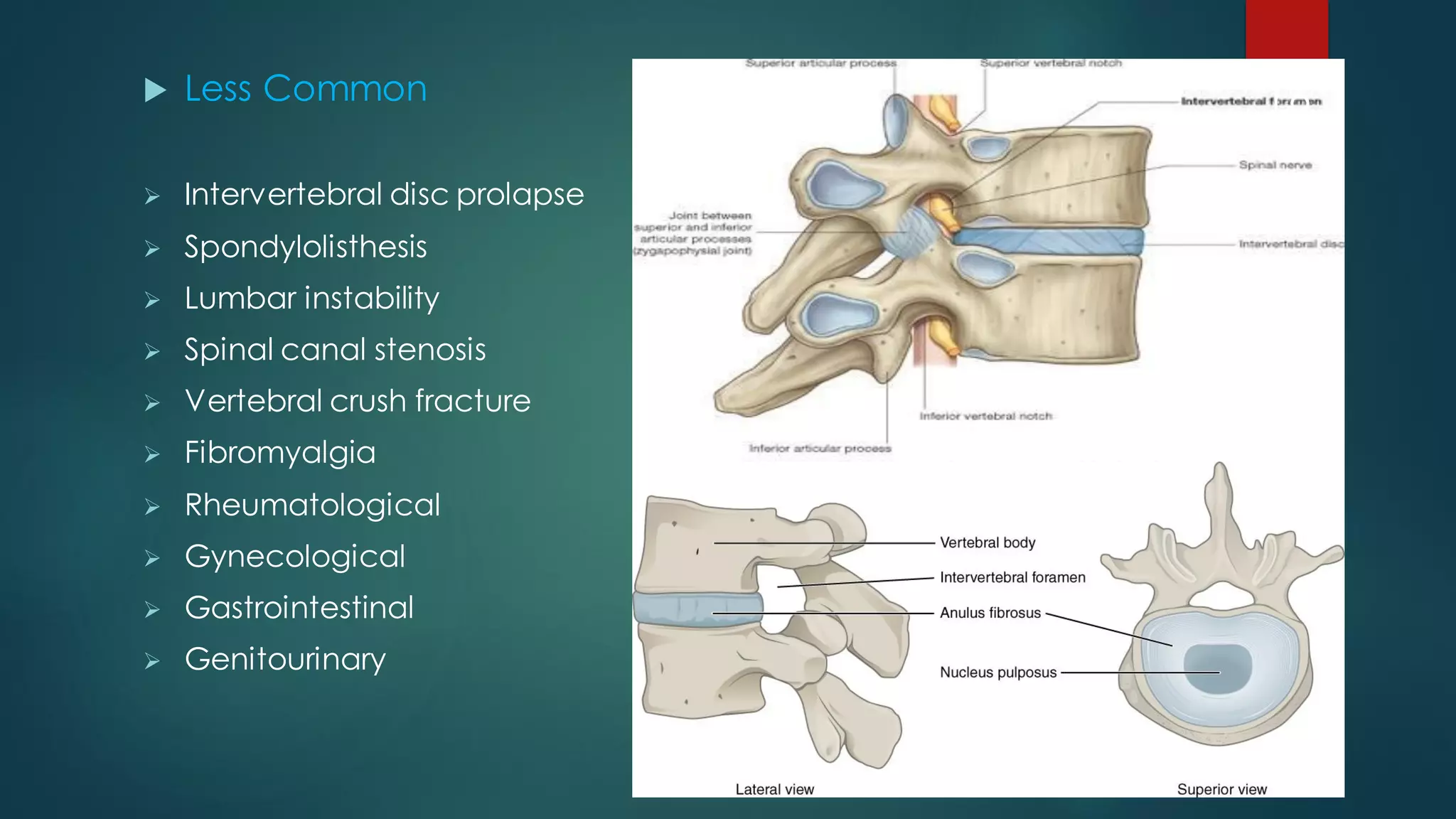Thoracic and Lumbar Spine Injuries | PPT