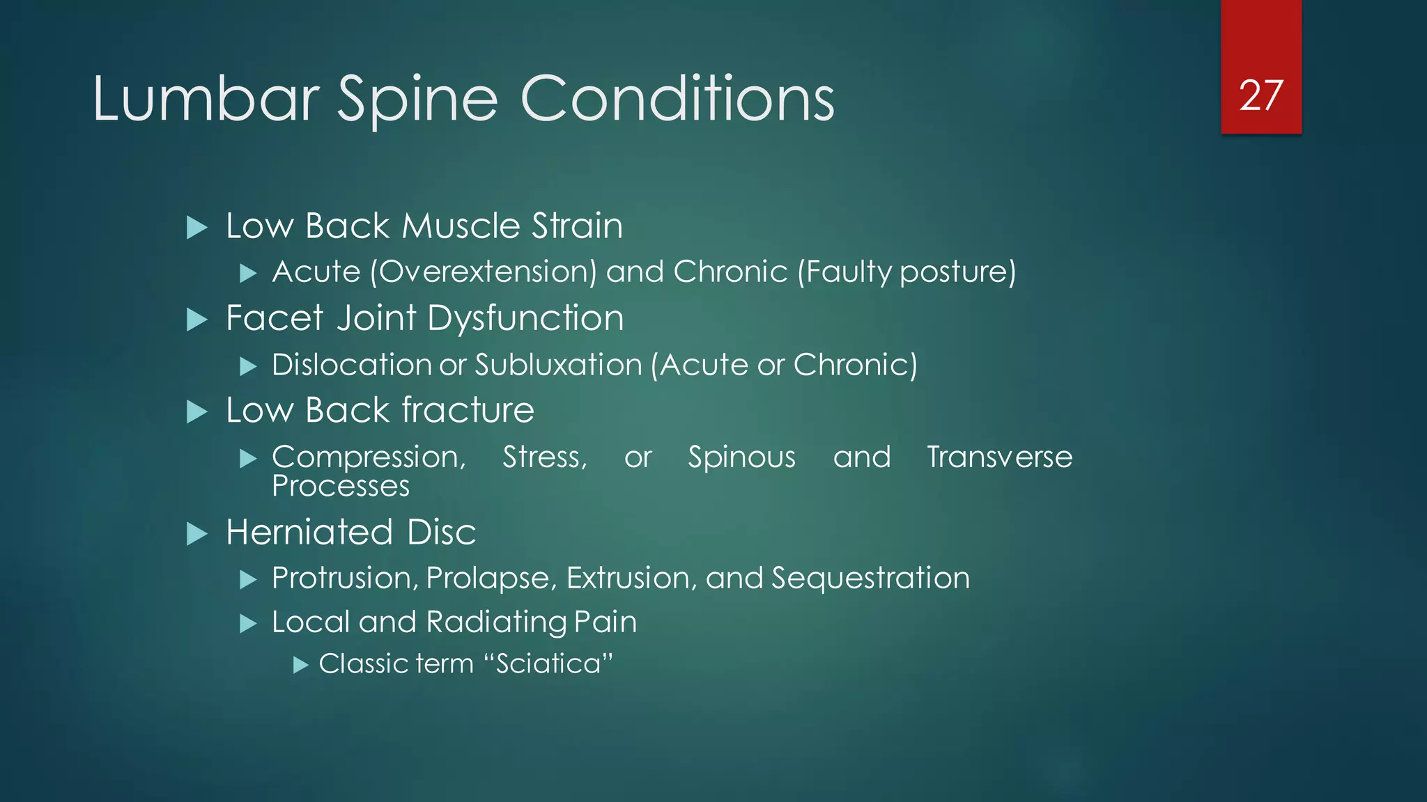 Thoracic and Lumbar Spine Injuries | PDF