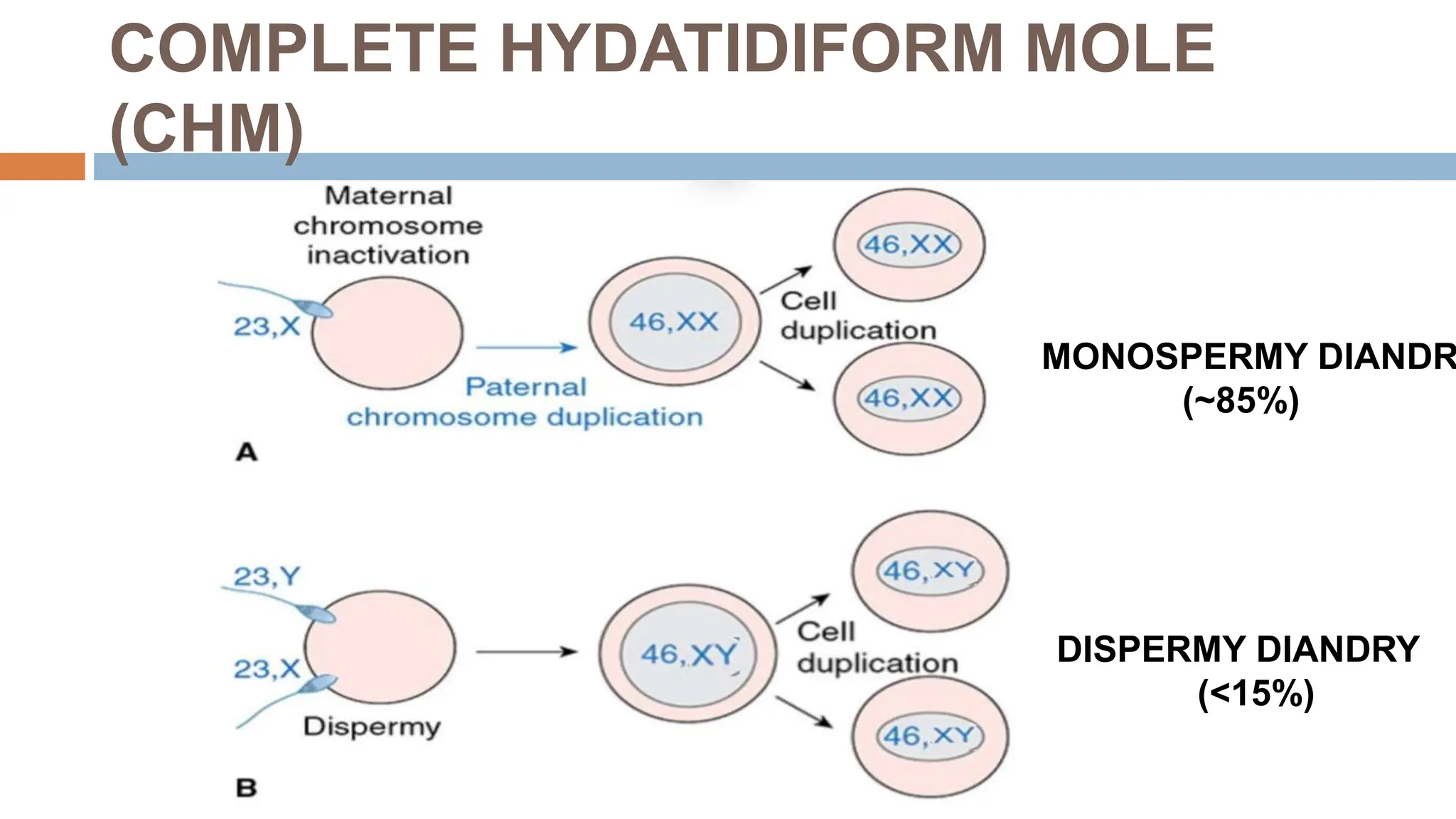 Gestational Trophoblastic Disease( GTD)- Molar pregnancy, Gestational ...