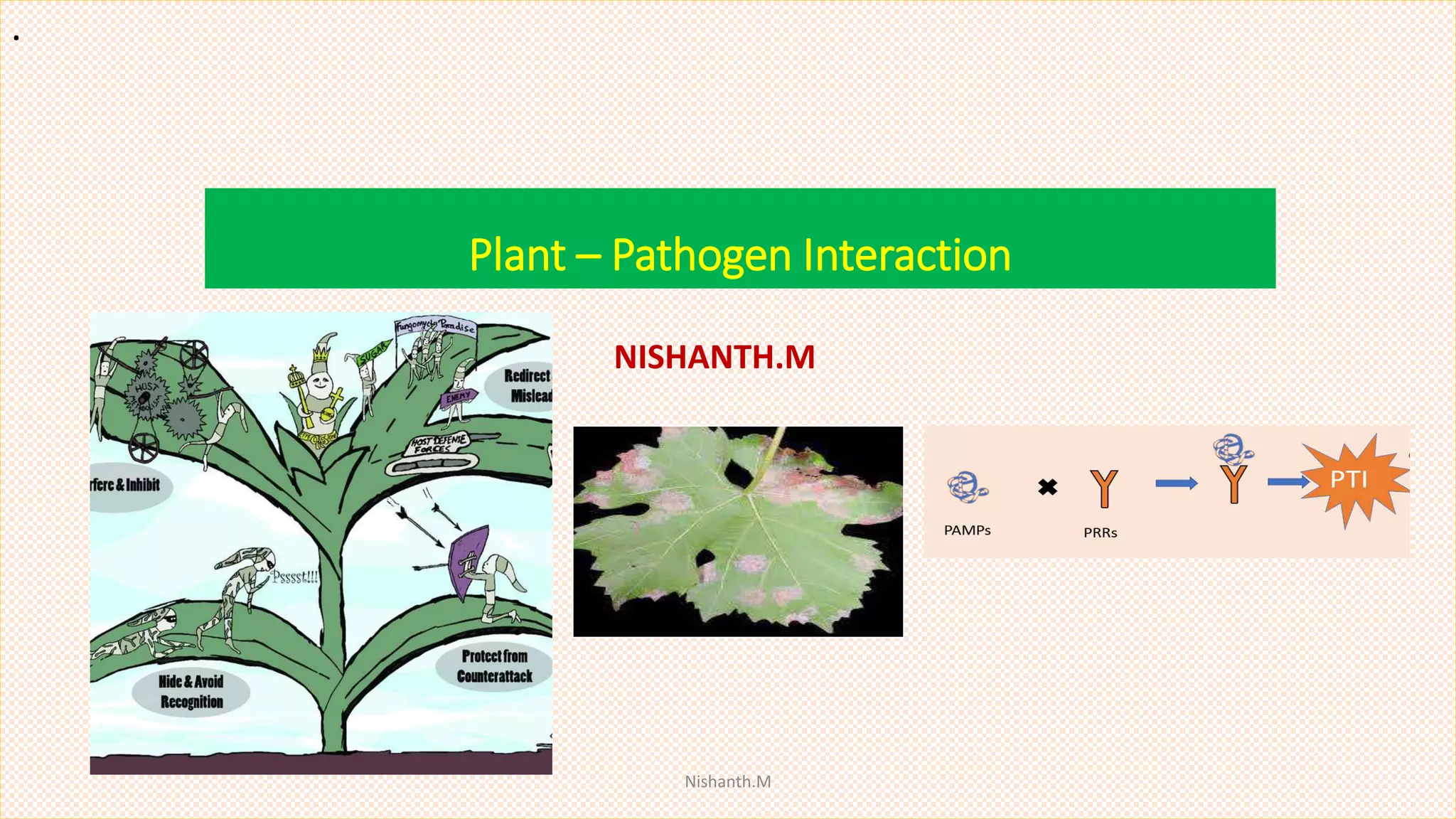 Nishanth.M I,d no. 6021 plant pathogen interaction.pptx