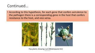 Nishanth.M I,d no. 6021 plant pathogen interaction.pptx