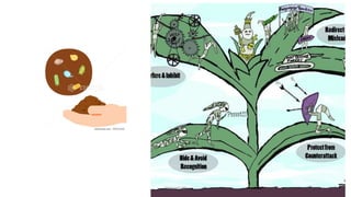Nishanth.M I,d no. 6021 plant pathogen interaction.pptx