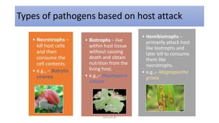 Nishanth.M I,d no. 6021 plant pathogen interaction.pptx