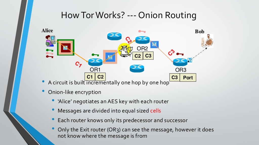 TOR NETWORK