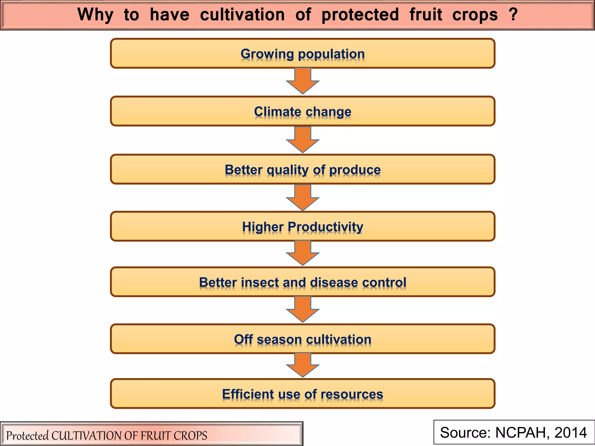 Protected Cultivation: Special Reference to fruit Production | PPTX