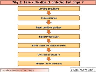 Protected Cultivation: Special Reference to fruit Production | PPTX