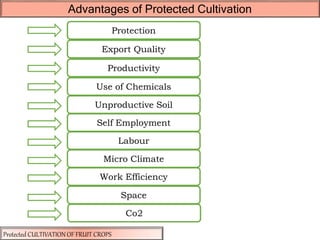 Protected Cultivation: Special Reference to fruit Production | PPTX