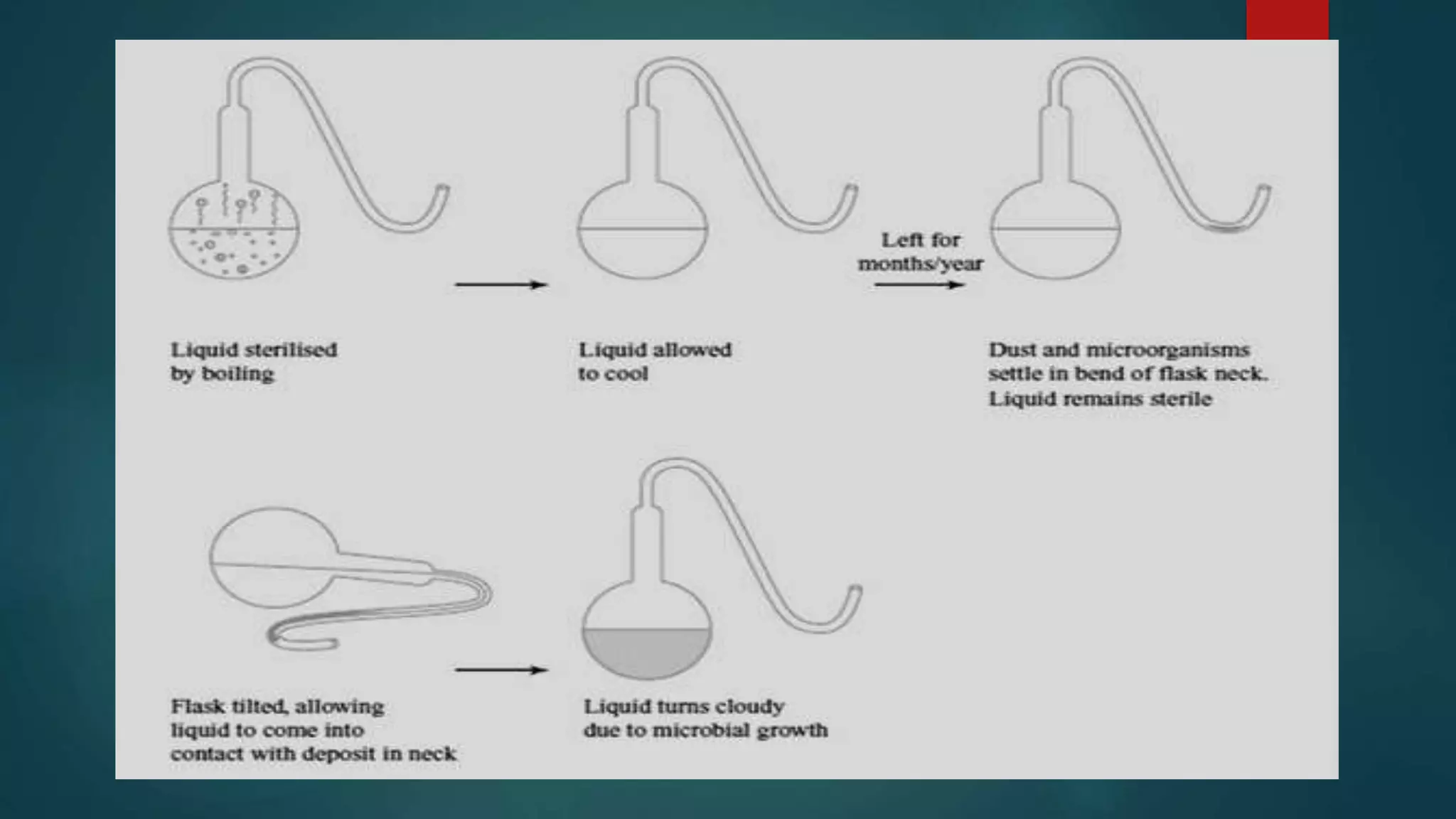 Contributions of louis Pasteur | PPTX