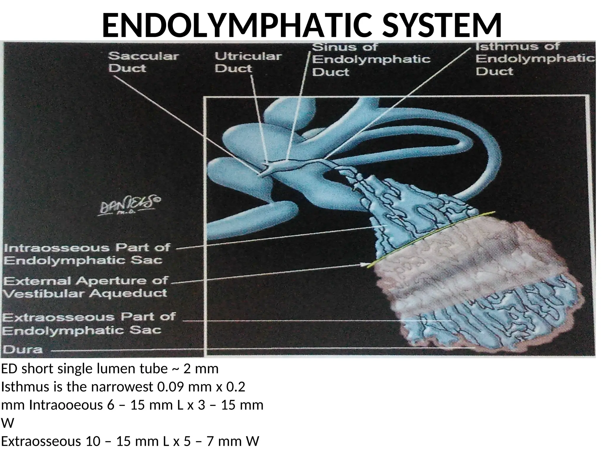 Nisha PPT for email (1).pptxbhgfhjgghhyhbjk | PPTX