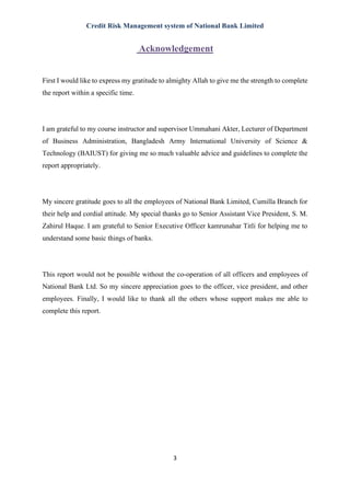 Report on Credit risk management | PDF