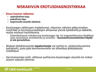 Niskakivut ja päänsärky, Marjo Rinne | PDF