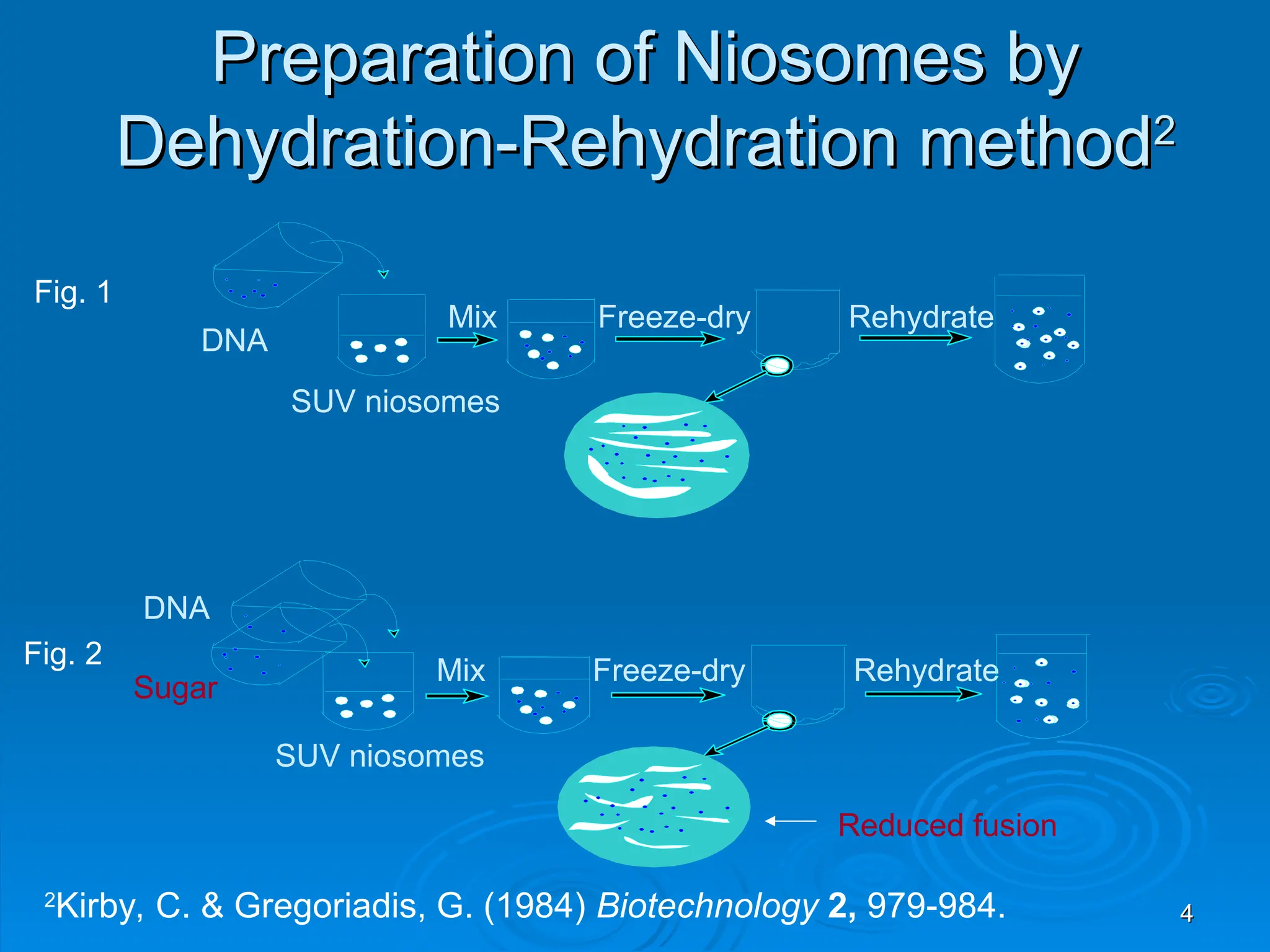 DNA LOADED DRV NIOSOMES STABILIZATION OF SURFACTANTppt | PPT