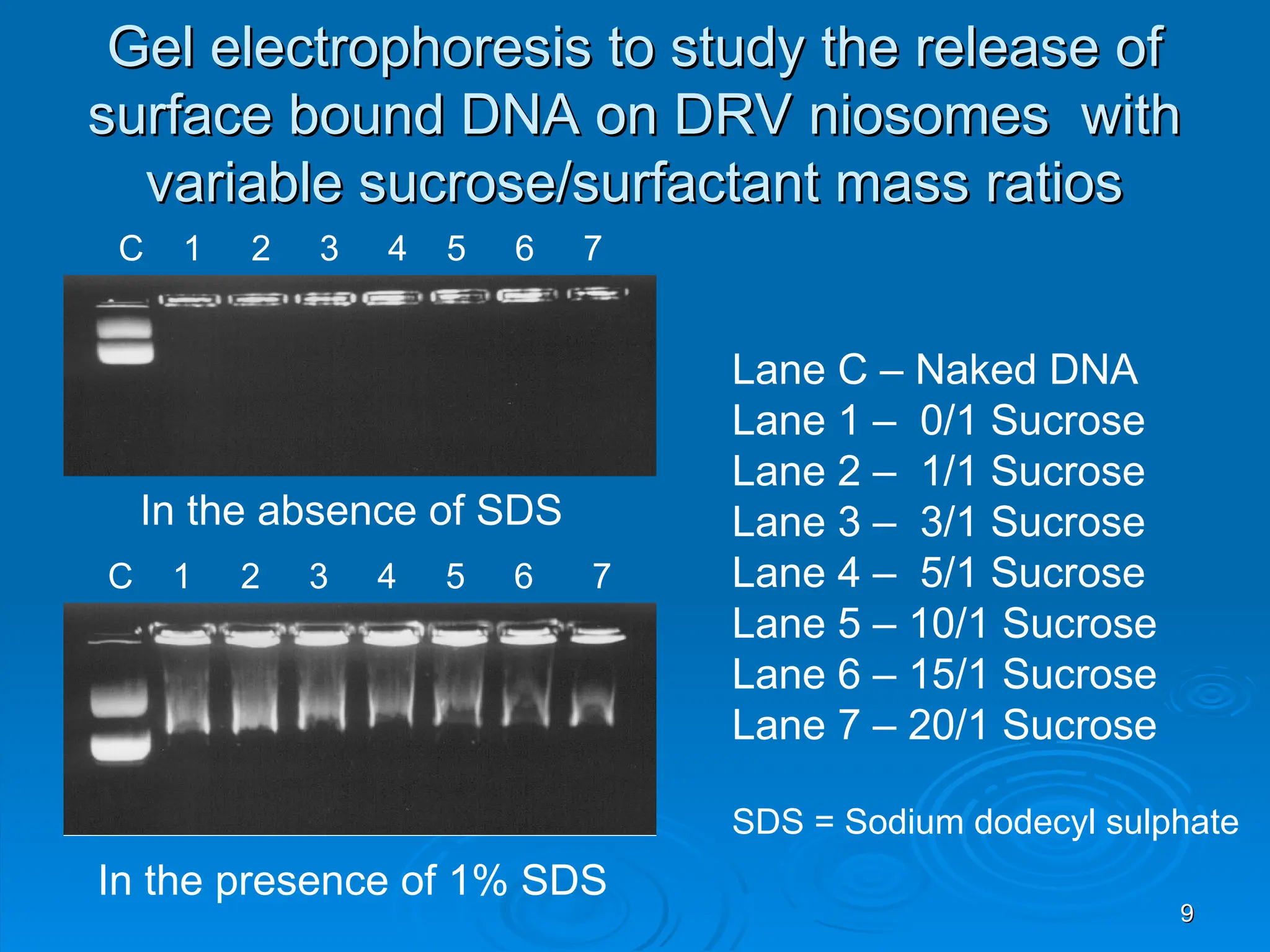 DNA LOADED DRV NIOSOMES STABILIZATION OF SURFACTANTppt | PPT