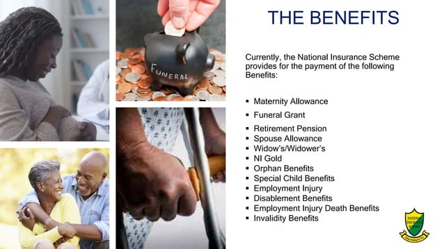 NIS Presentation.pptx