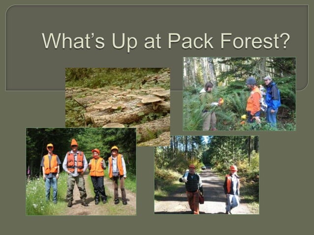 Update for UW Pack Forest | PPTX | Agriculture | Industries