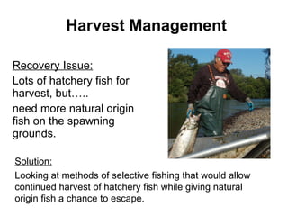 2011 Salmon Recovery Workplan Update | PPT