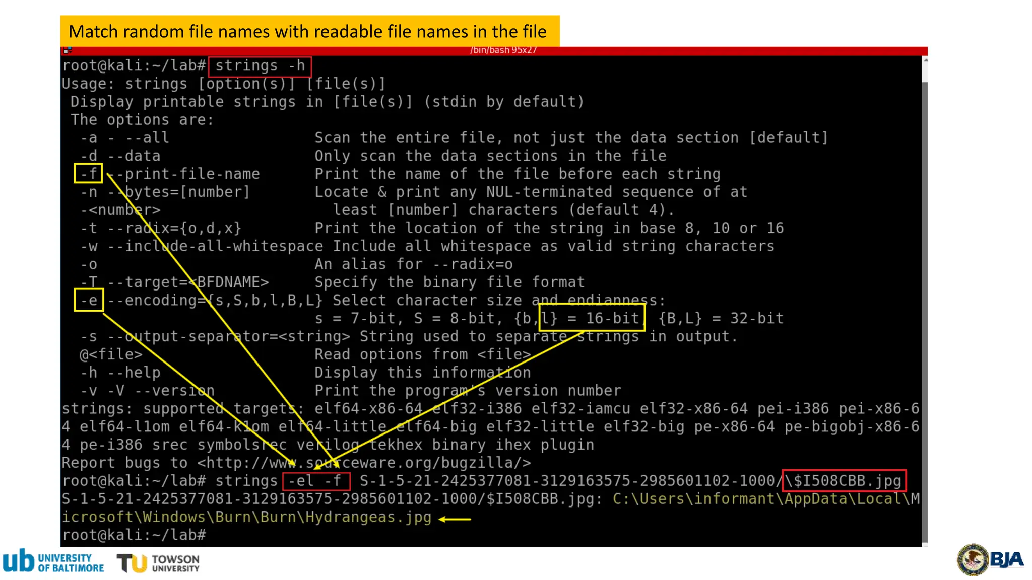 NIST_Data_Leakage_11_RecycleBin_AntiForensics.pptx