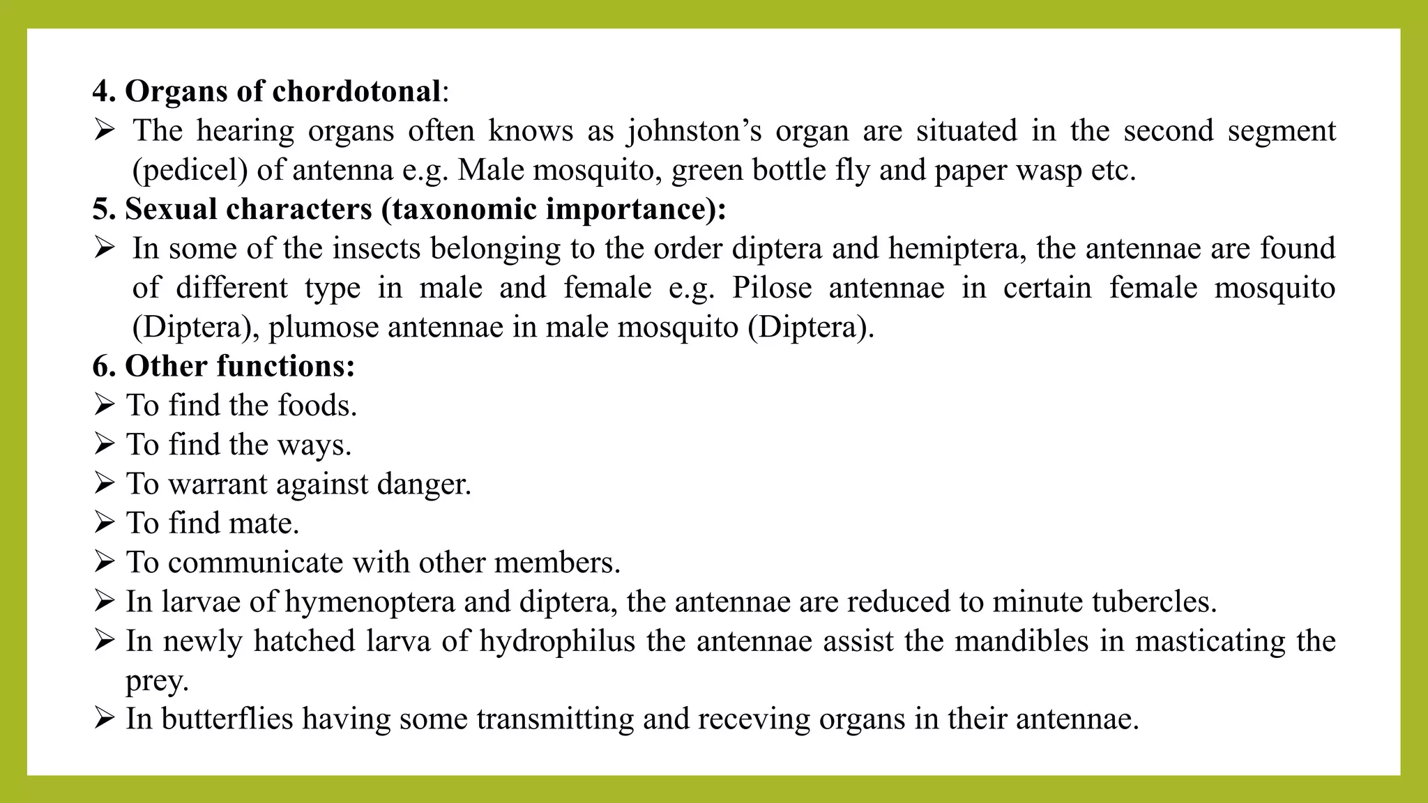 INSECT ANTENNA Its origin, structure, function and modification in ...