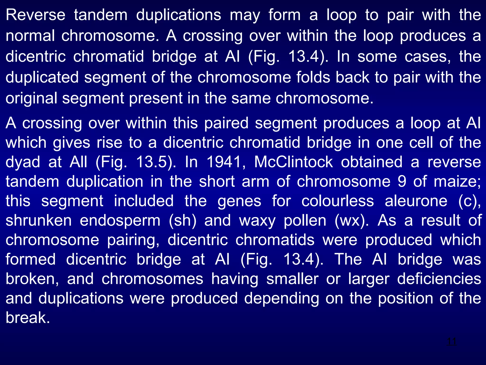 PPT on duplication; Production and Uses | PPT