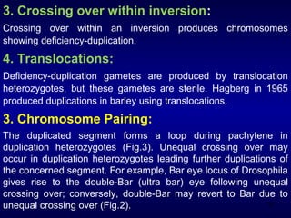 PPT on duplication; Production and Uses | PPT