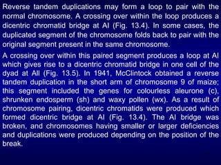 PPT on duplication; Production and Uses | PPT