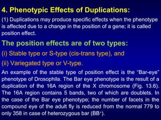 PPT on duplication; Production and Uses | PPT