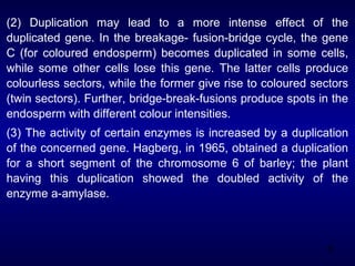 PPT on duplication; Production and Uses | PPT