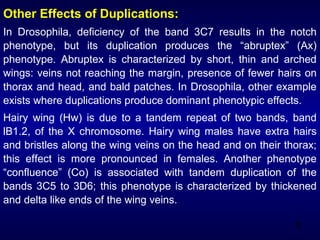 PPT on duplication; Production and Uses | PPT
