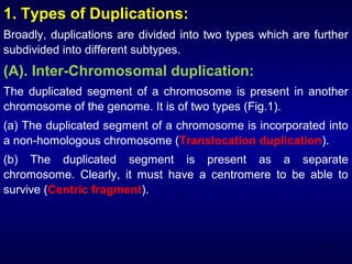 PPT on duplication; Production and Uses | PPT