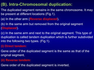 PPT on duplication; Production and Uses | PPT