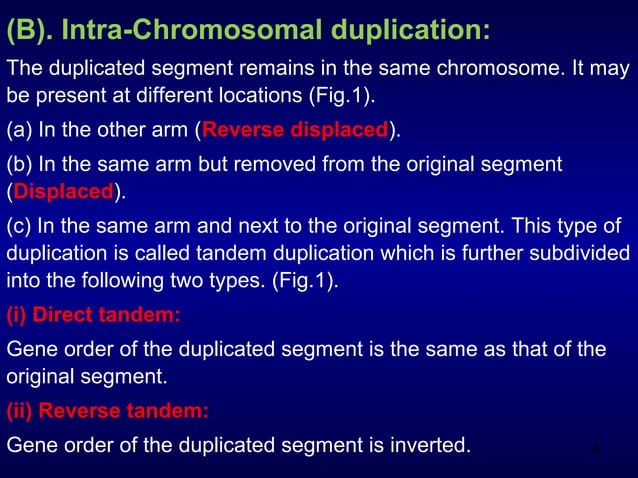 PPT on duplication; Production and Uses | PPT | Genetics | Science