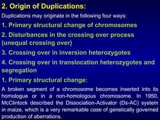 Chromosome Duplication