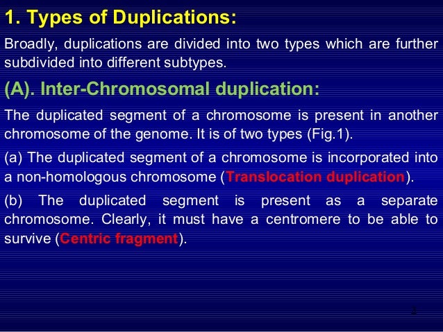 PPT on duplication; Production and Uses