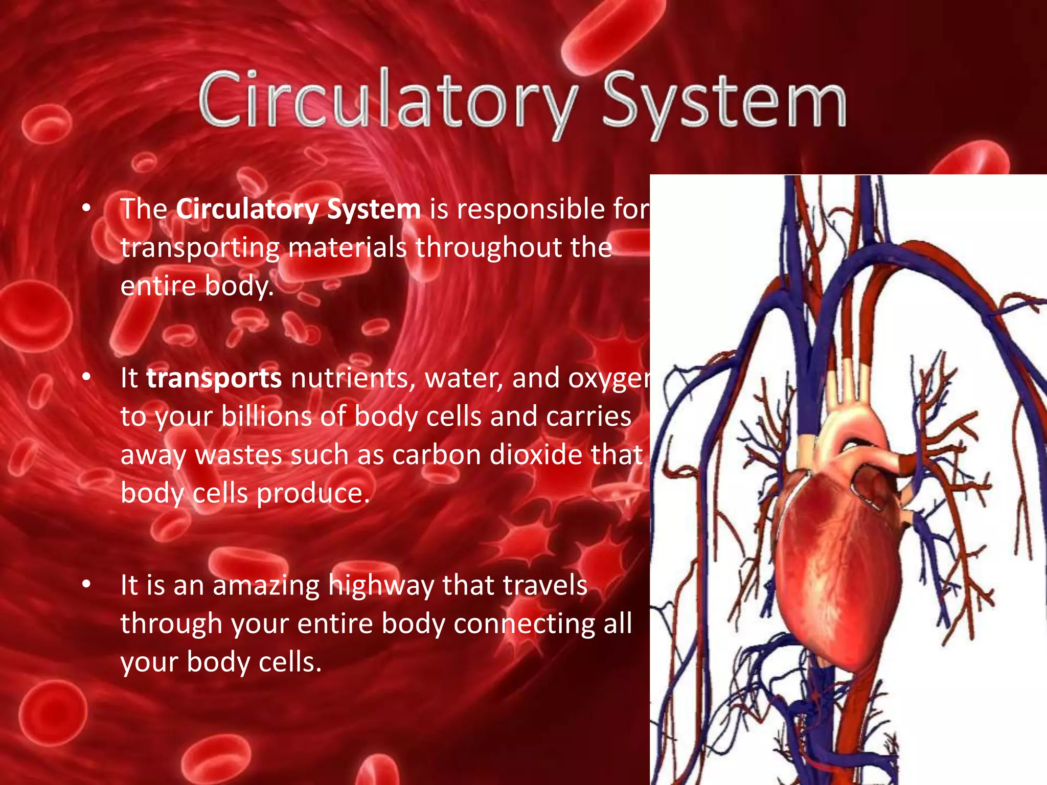 The circulatory system by Nitesh Sharma | PPTX
