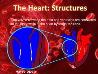 The circulatory system by Nitesh Sharma | PPTX