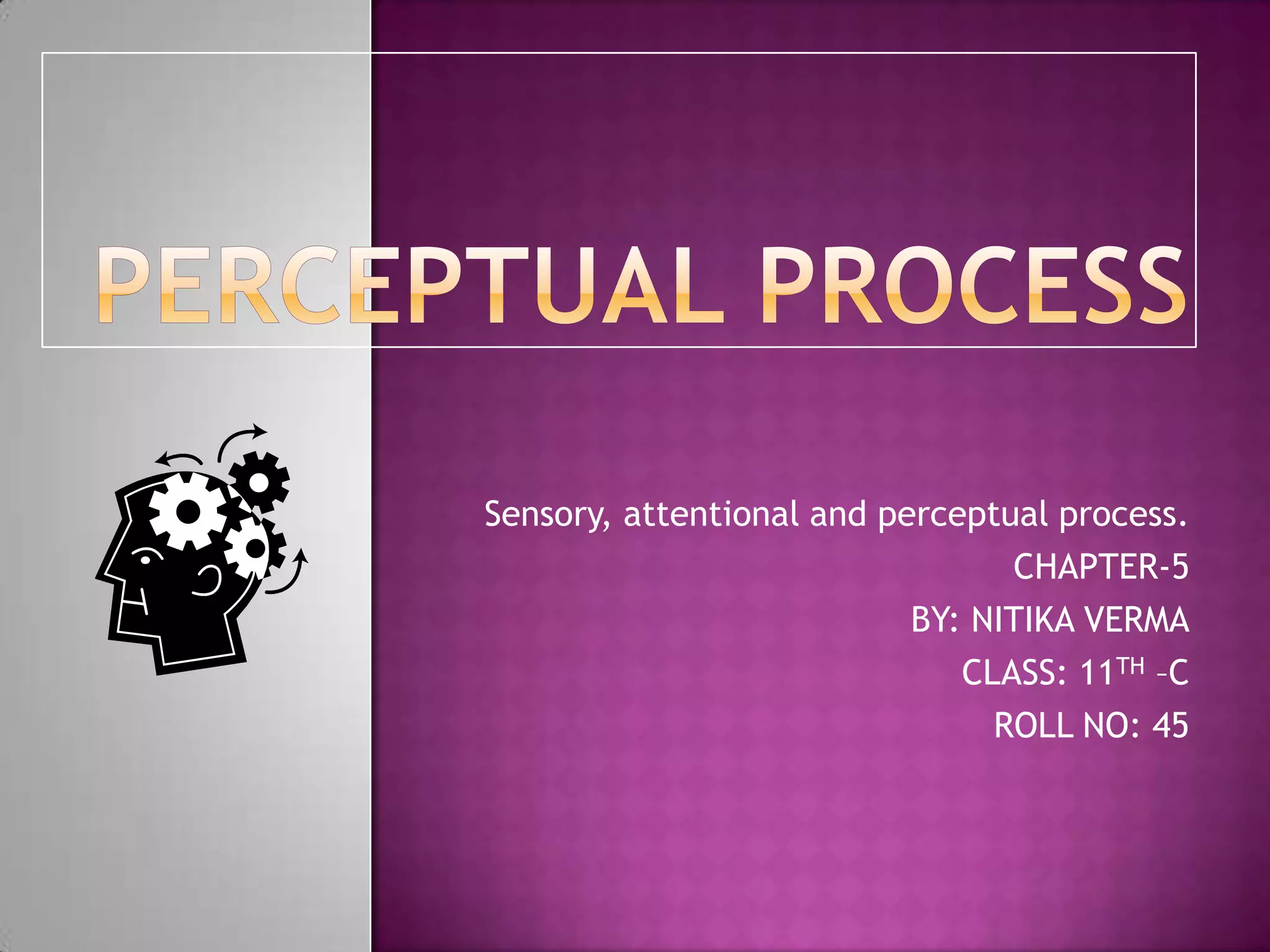 PERCEPTUAL PROCESS | PPTX